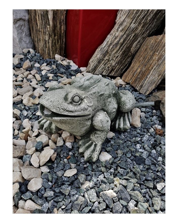 ŻABA / ROPUCHA - zielona - Sklep Maja Centrum