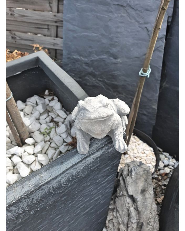 MAŁA ŻABA / ŻABCIA szara - Sklep Maja Centrum