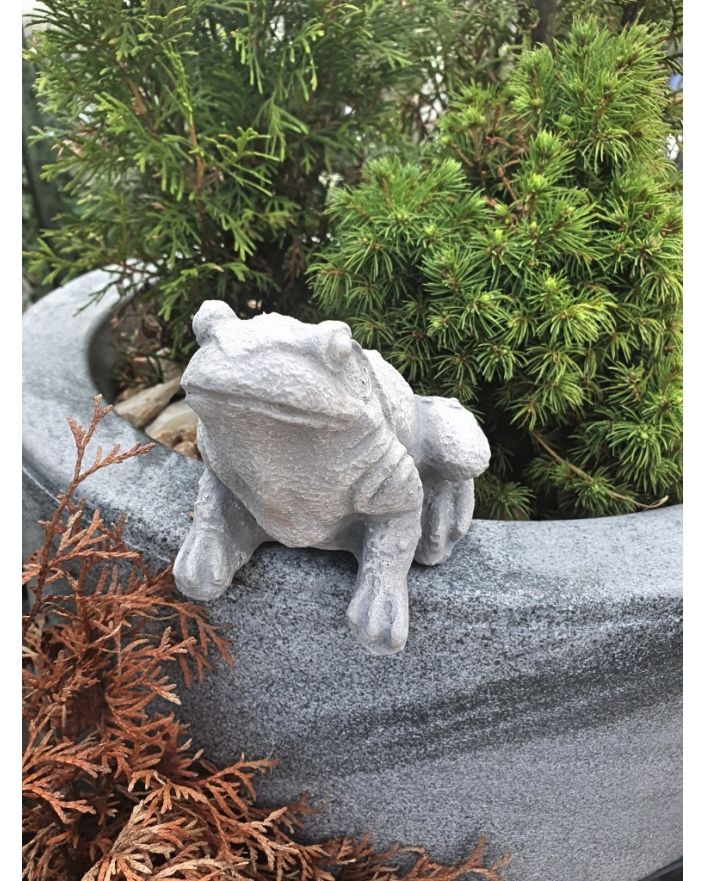 MAŁA ŻABA / ŻABCIA szara - Sklep Maja Centrum