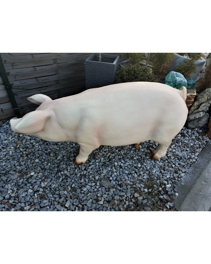 ŚWINIA PROSIAK XL MODEL II - Sklep Maja Centrum