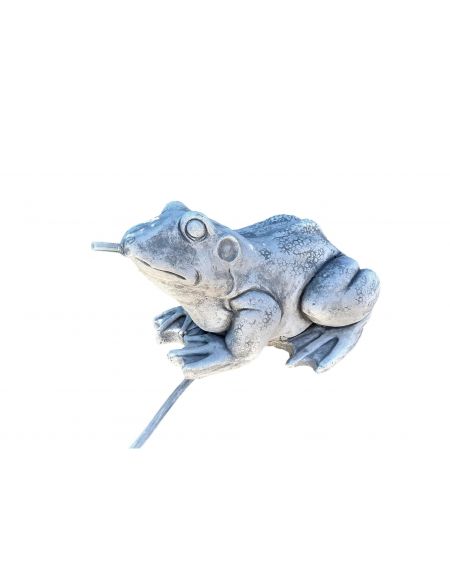 ŻABA / ROPUCHA model A- szara - Sklep Maja Centrum