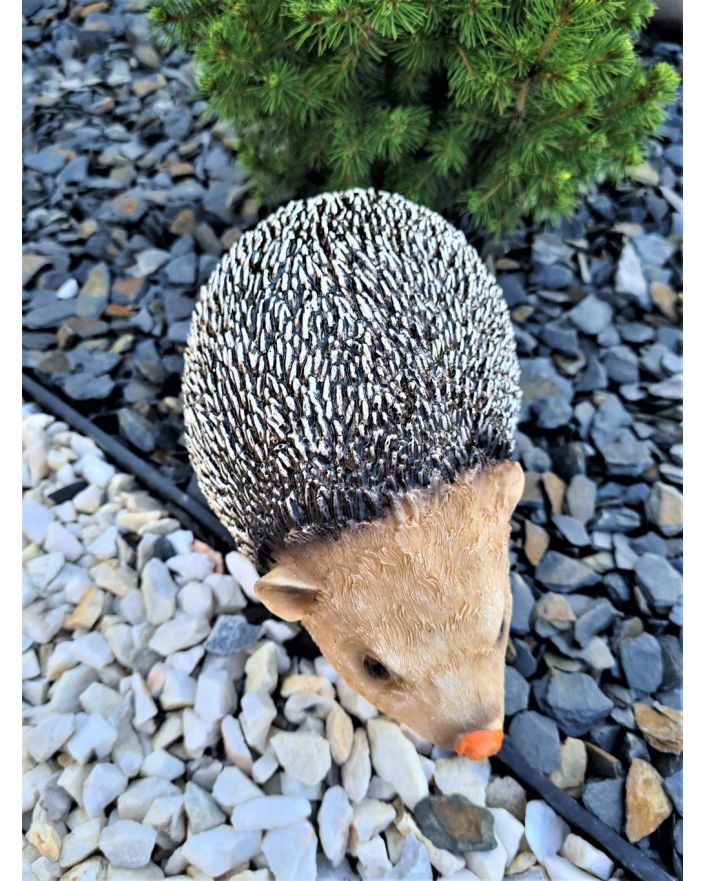 JEŻ "JERZY" - Sklep Maja Centrum