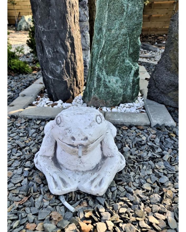 ŻABA / ROPUCHA model B - szara