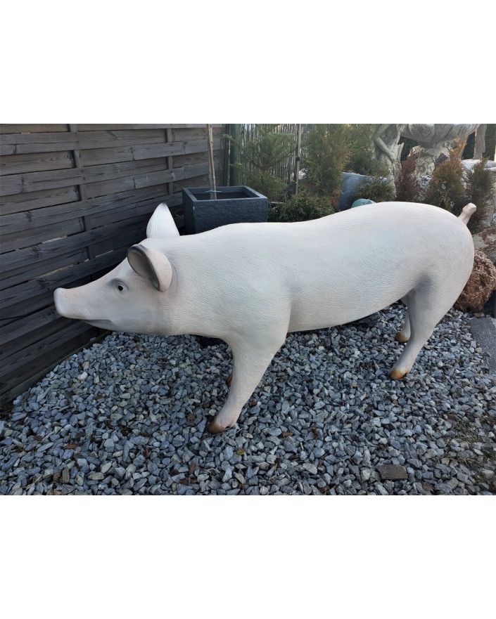 ŚWINIA PROSIAK XXL - Sklep Maja Centrum