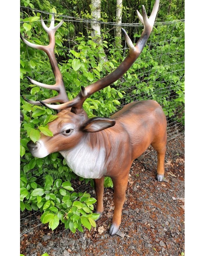 STOJĄCY JELEŃ / DANIEL XXL - Sklep Maja Centrum