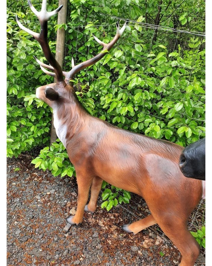 STOJĄCY JELEŃ / DANIEL XXL - Sklep Maja Centrum